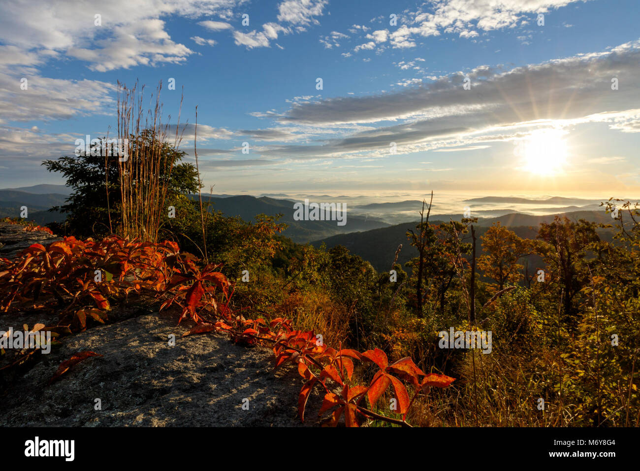 Buck hollow overlook hi-res stock photography and images - Alamy