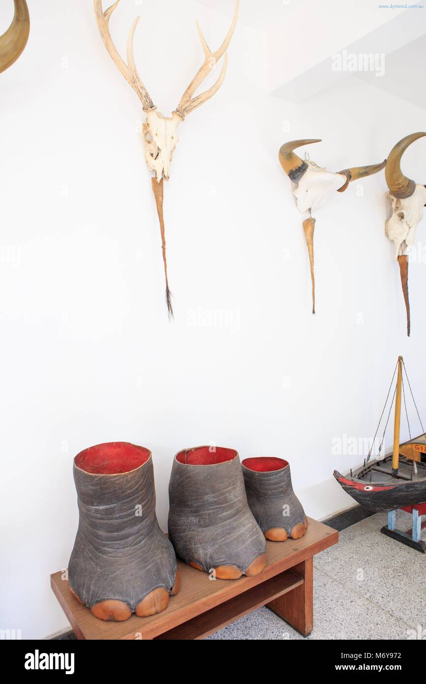 Elephant's feet umbrella stands and skulls on display at the ...