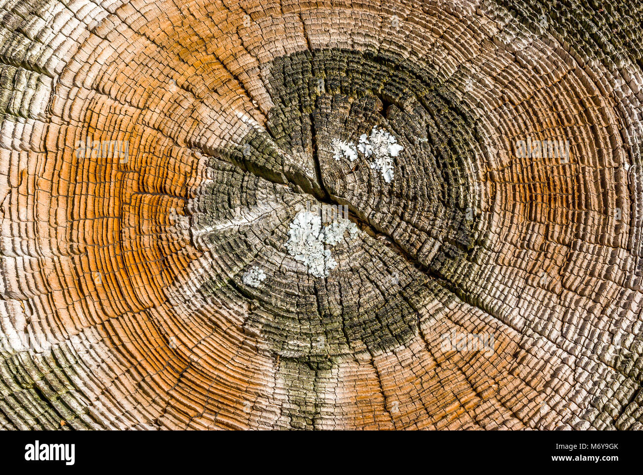 background of top of weathered wood post Stock Photo - Alamy