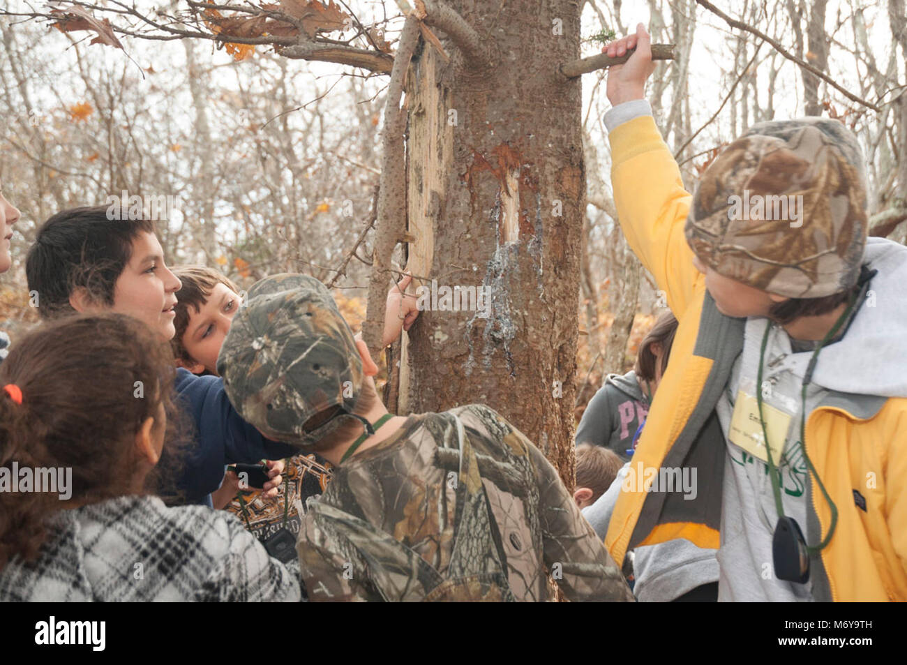 Lacey Spring Elementary School Stock Photo - Alamy