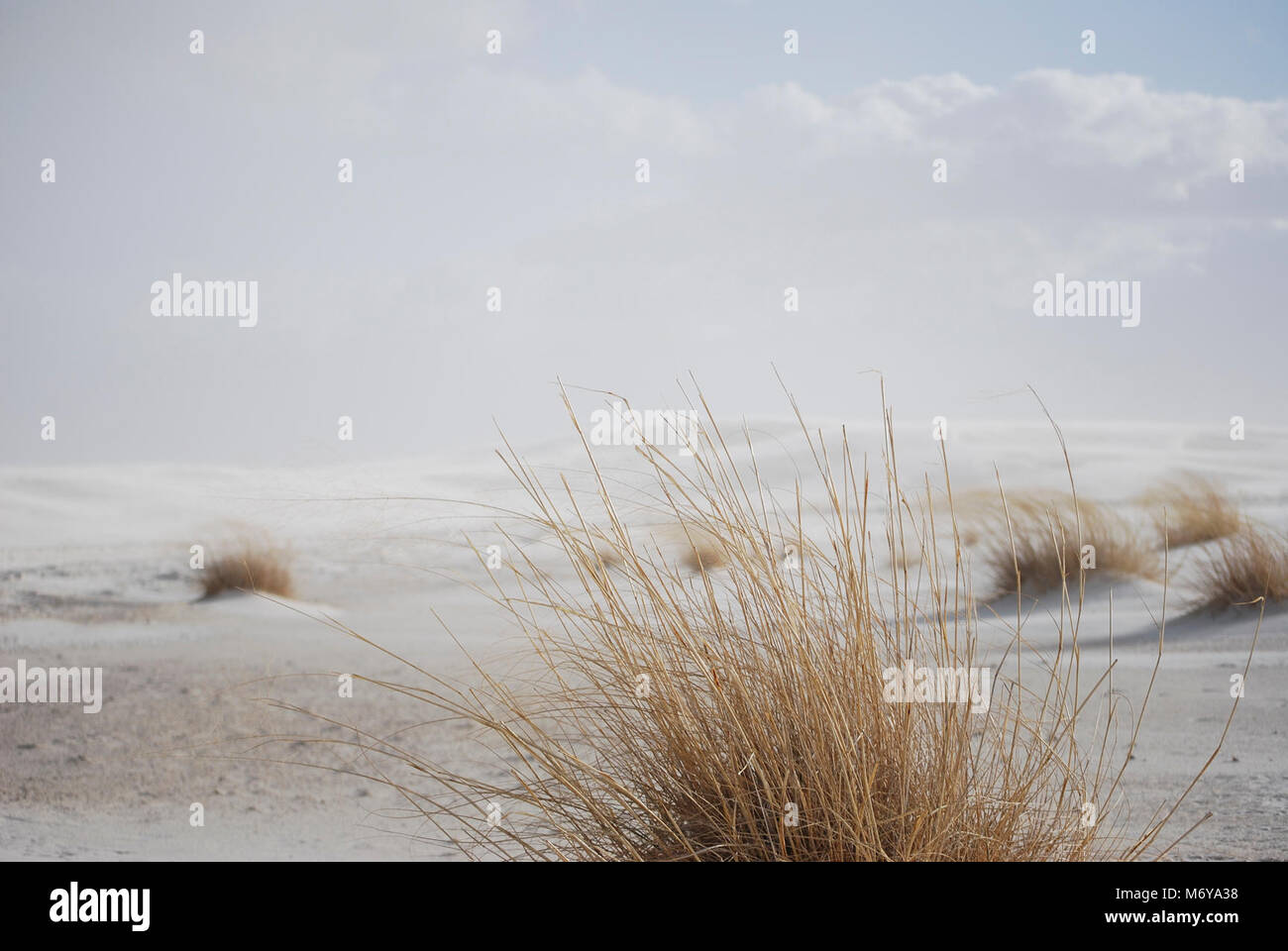 March Winds Stock Photo - Alamy