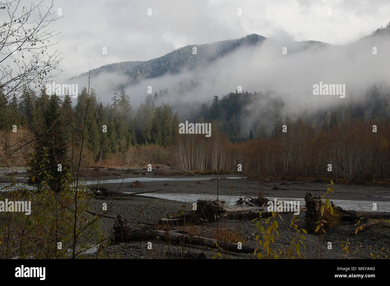 Misty Weather Valley Nov Stock Photo - Alamy