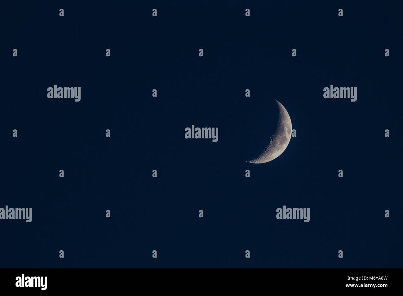 November Moon Stock Photo - Alamy