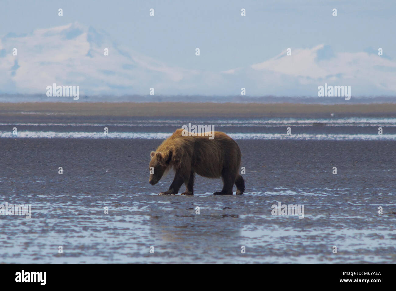 Rotund belly hi-res stock photography and images - Alamy