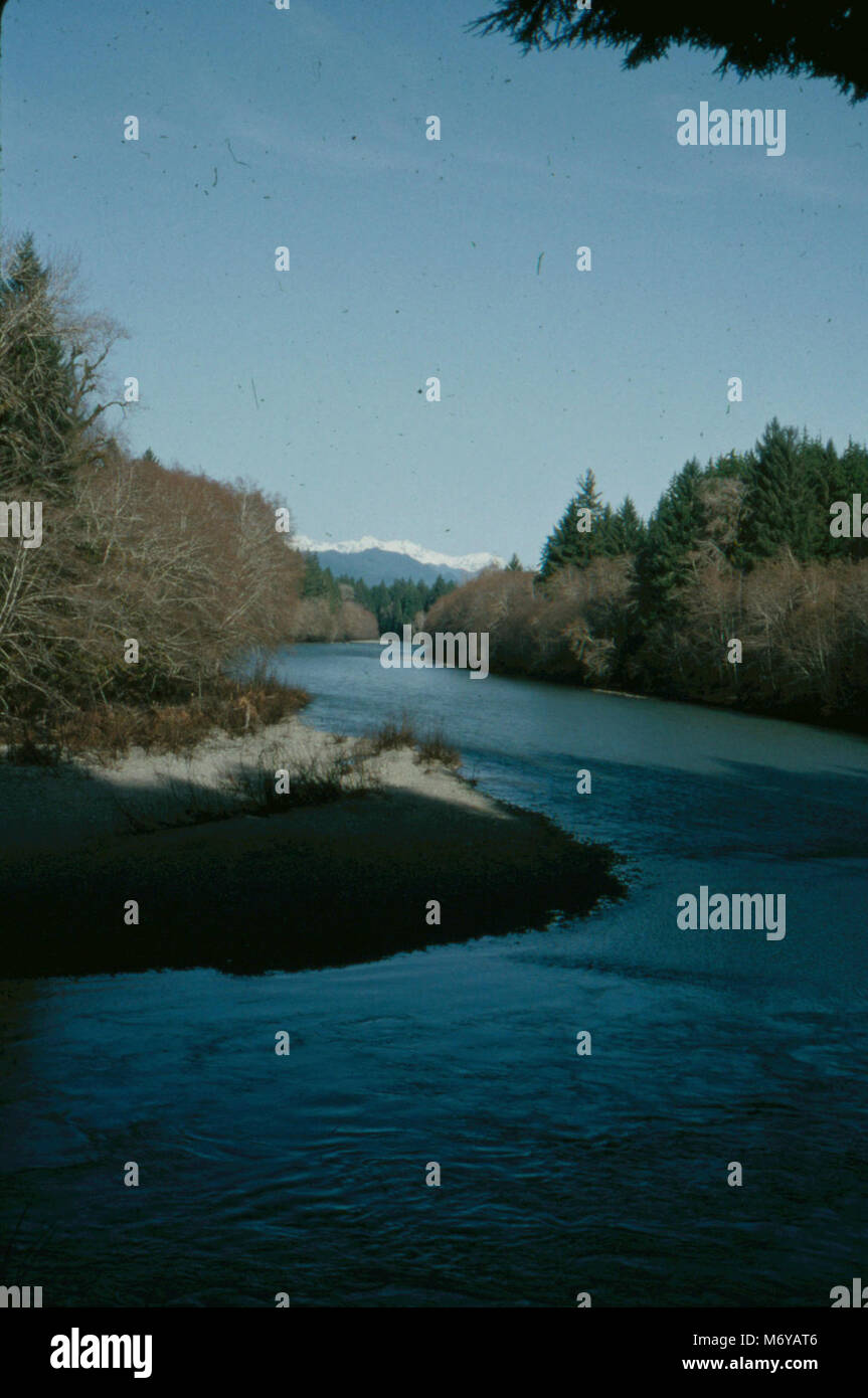 Queets River . Queets River. OLD: 111-00004 Stock Photo - Alamy