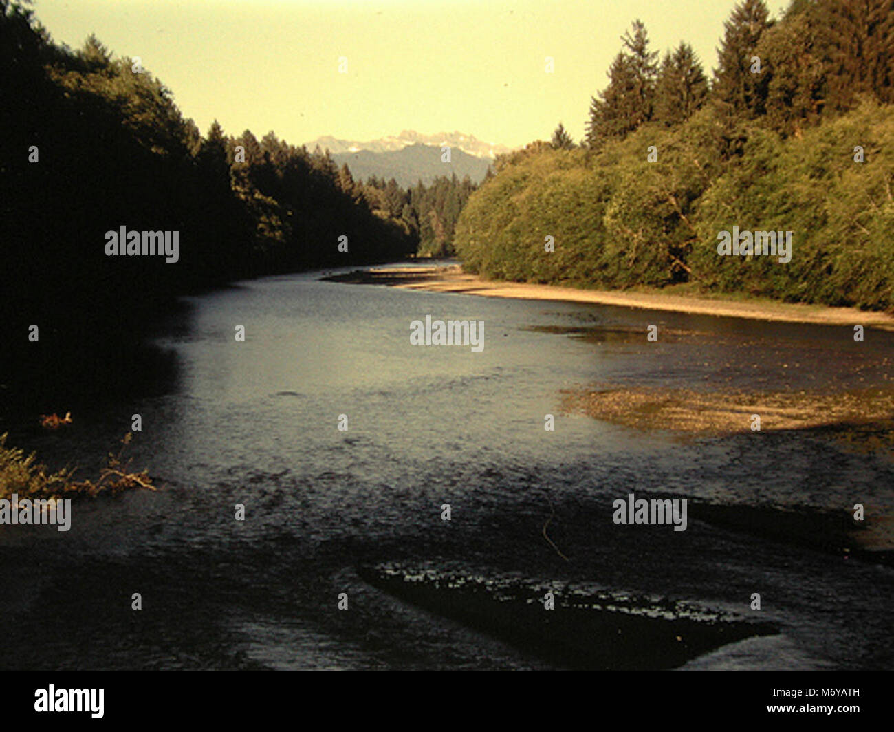 Okeefe park hi-res stock photography and images - Alamy