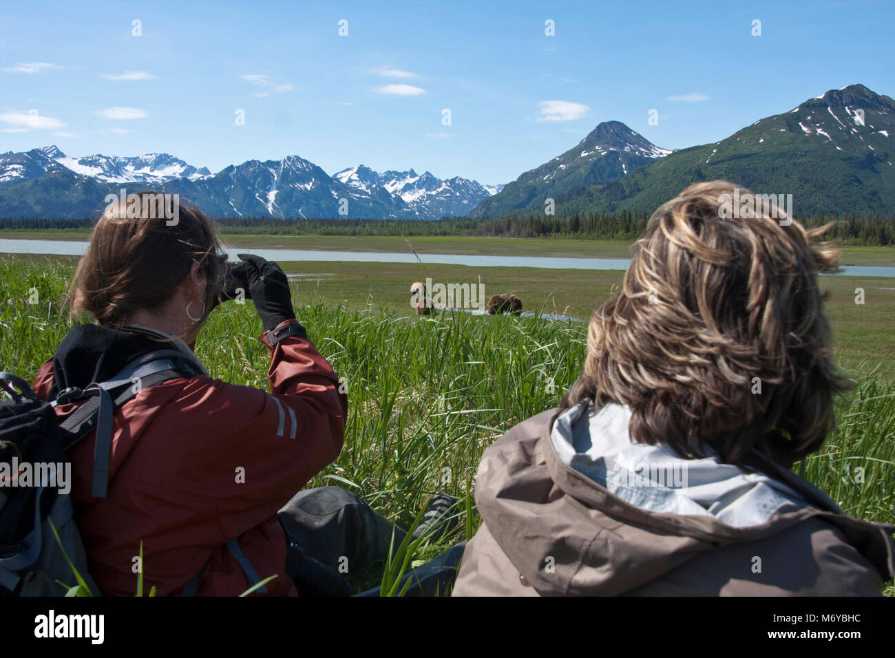 Sedge Meadow at the Western Bear Viewing Area . The western bear ...
