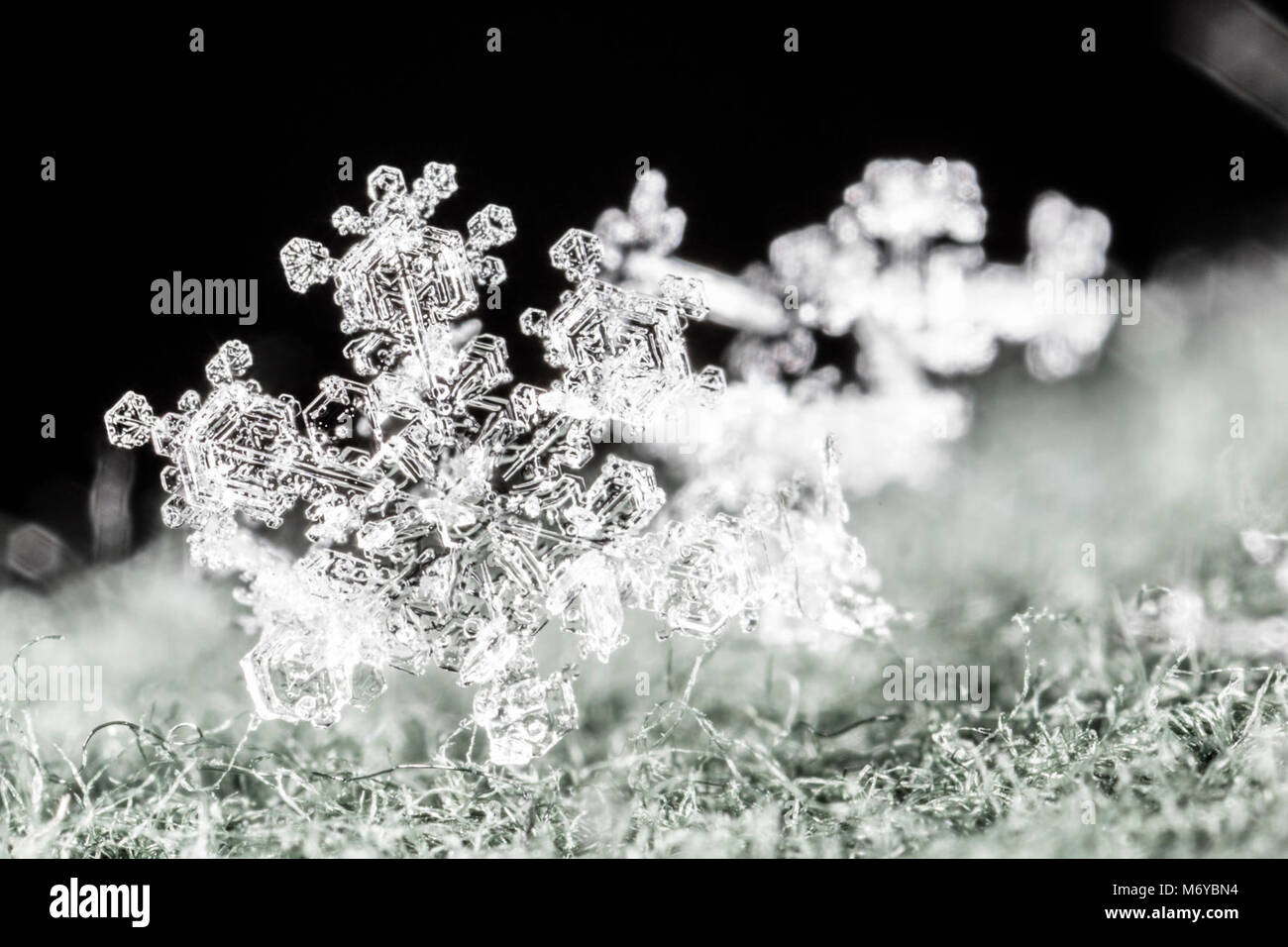 Snowflake Stock Photo - Alamy