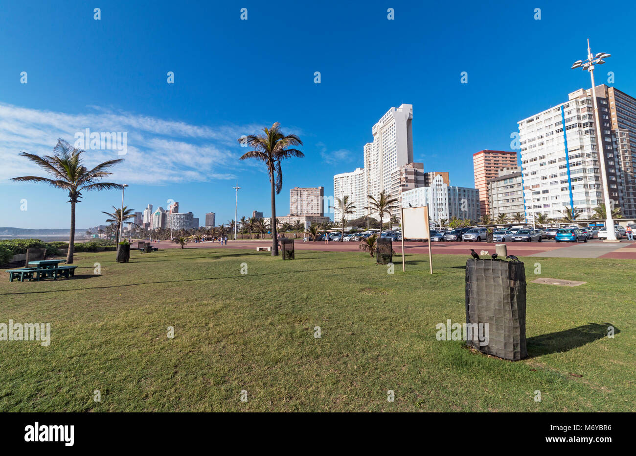 Green lawn, paved promenade and palm trees against blue cloudy Durban ...