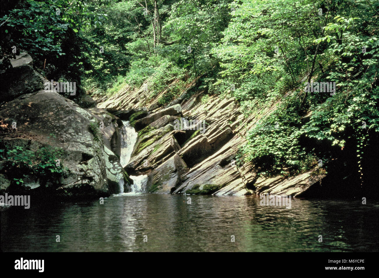Forest waterfall into lake Stock Photo - Alamy