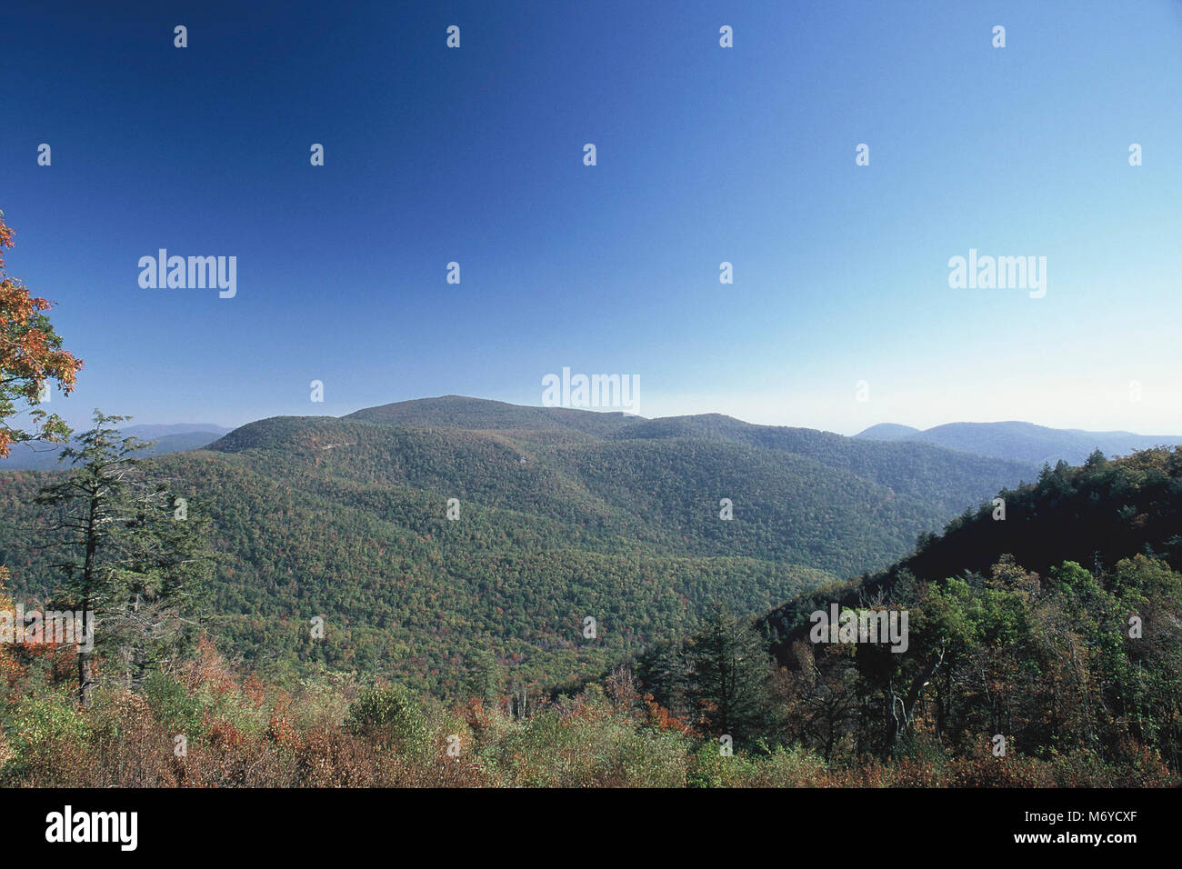 Hemlock springs hi-res stock photography and images - Alamy