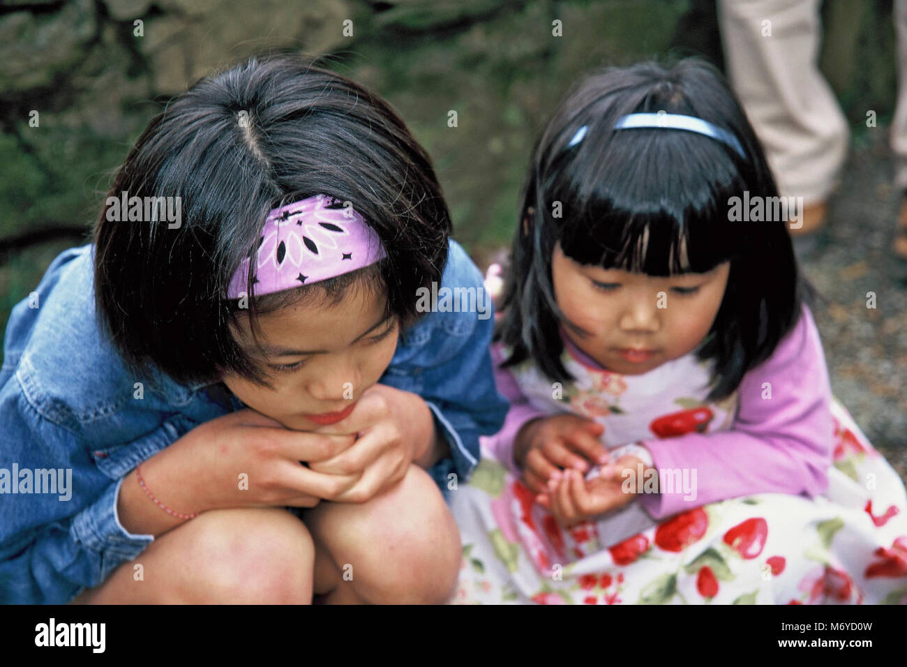 Visitors, Wildflower Weekend Stock Photo - Alamy