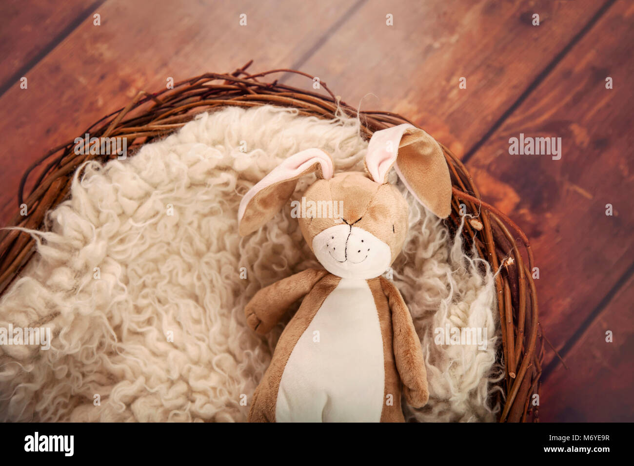 Baby rabbit in nest hi-res stock photography and images - Alamy