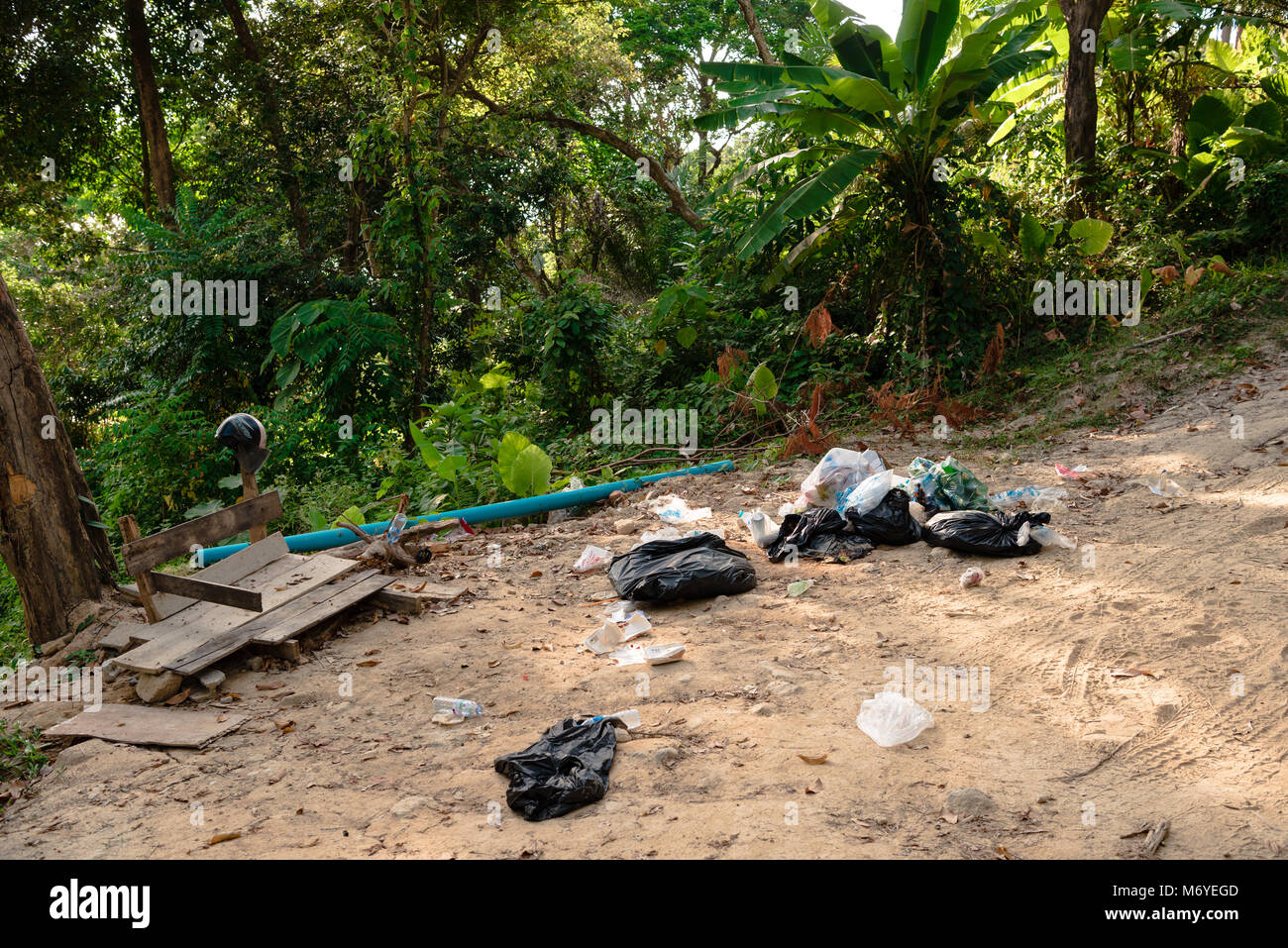 Trash littered in green forest Stock Photo - Alamy