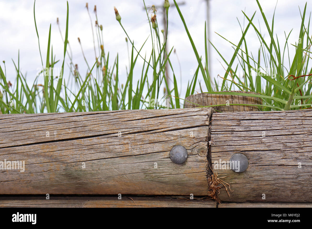 Wooden grass hi-res stock photography and images - Alamy