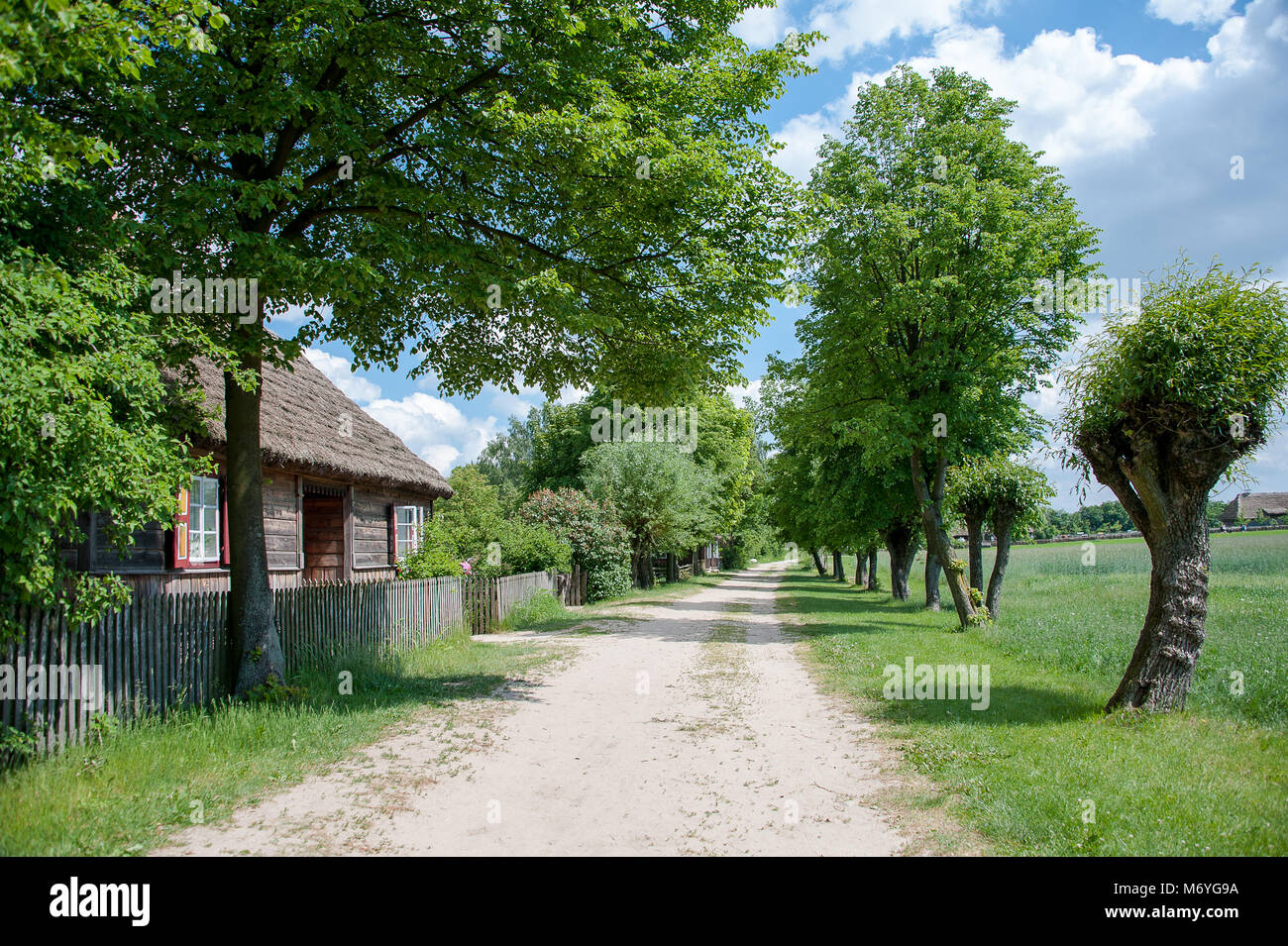 Museum of the Mazovian Village in Sierpc. Polish countryside scene with ...