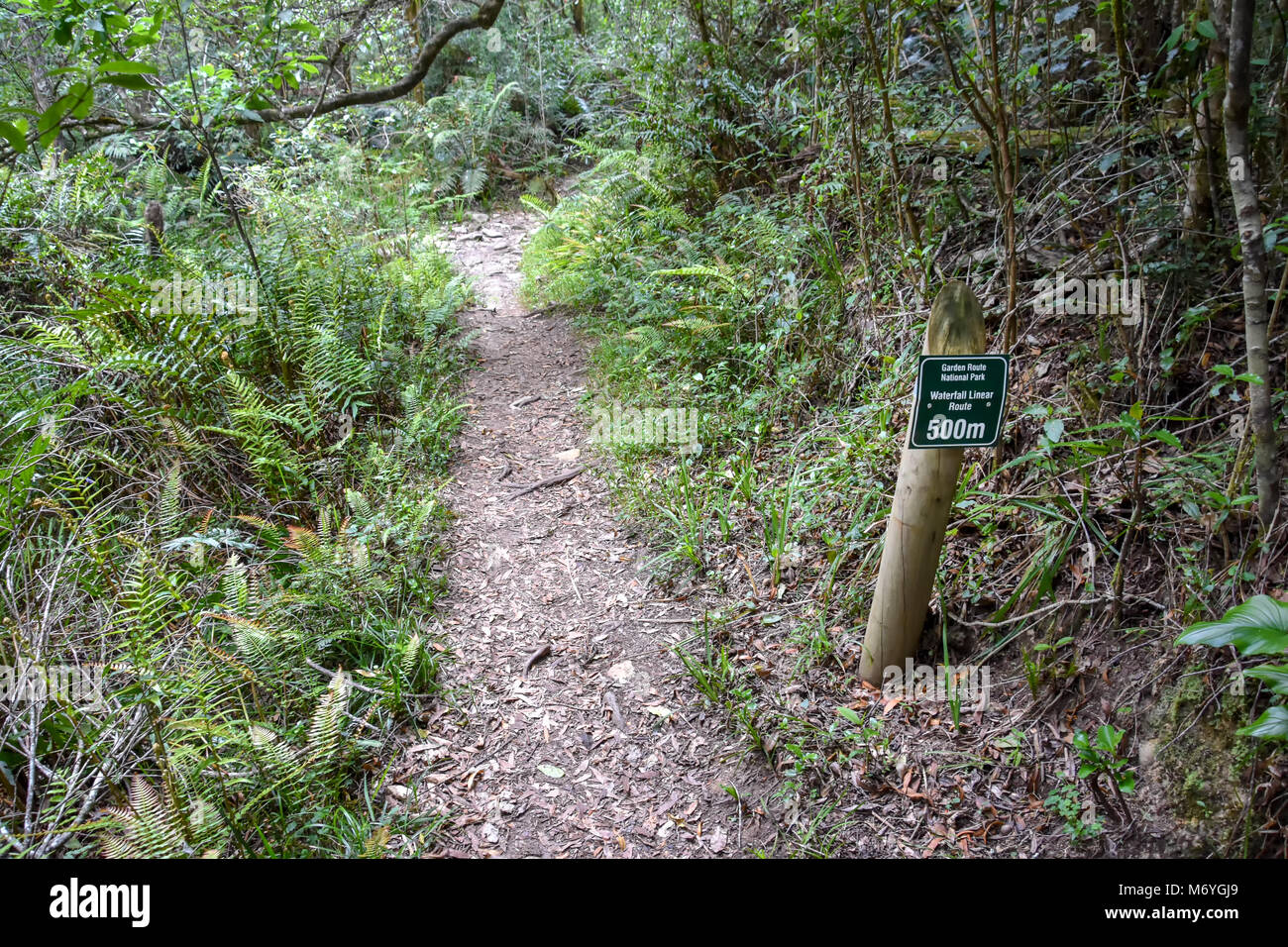 A sign to the waterfall in the forest on the popular Jubilee Creek ...
