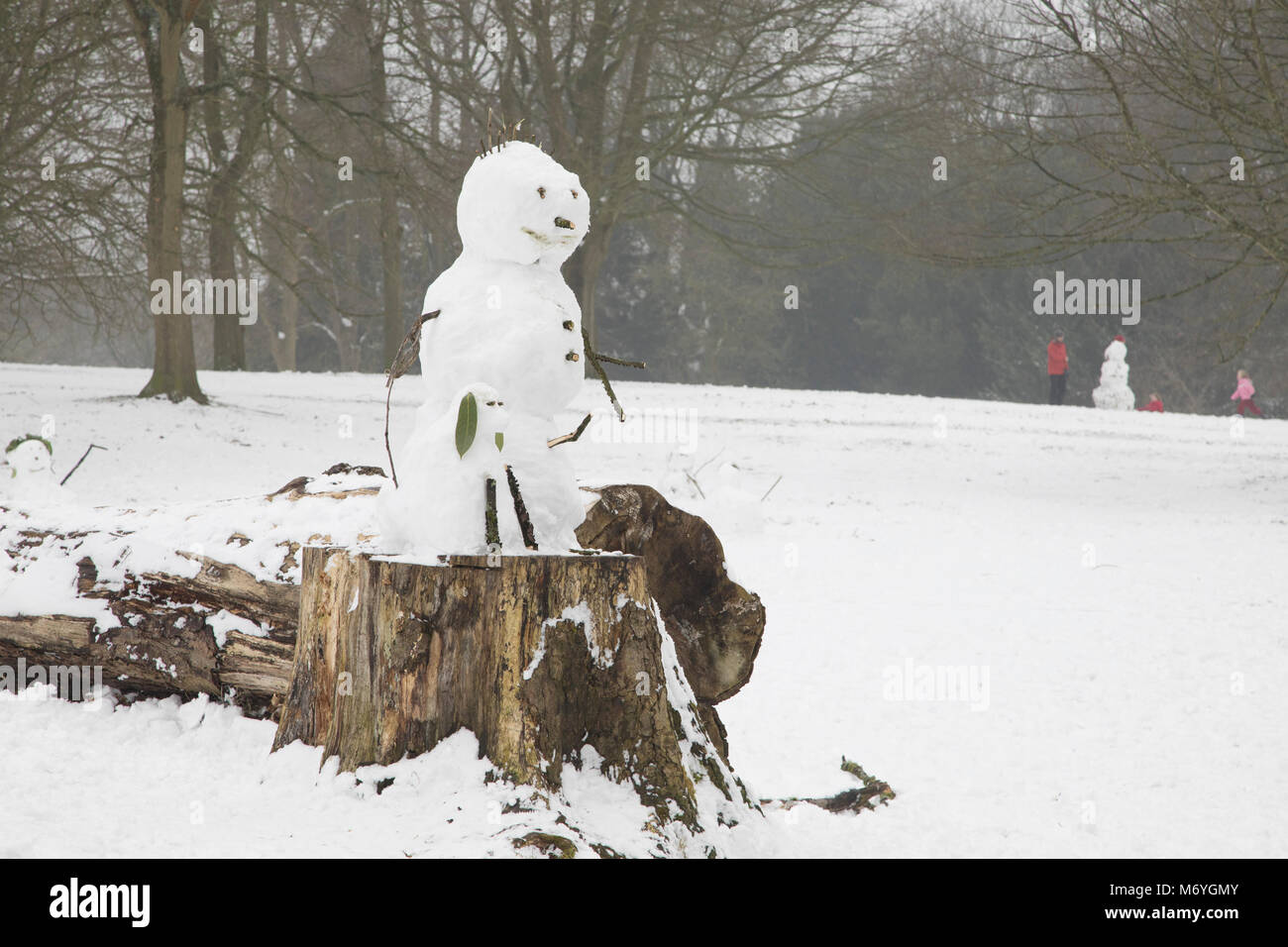 Snowman fun in Highbury Park as freezing weather, dubbed The Beast from ...