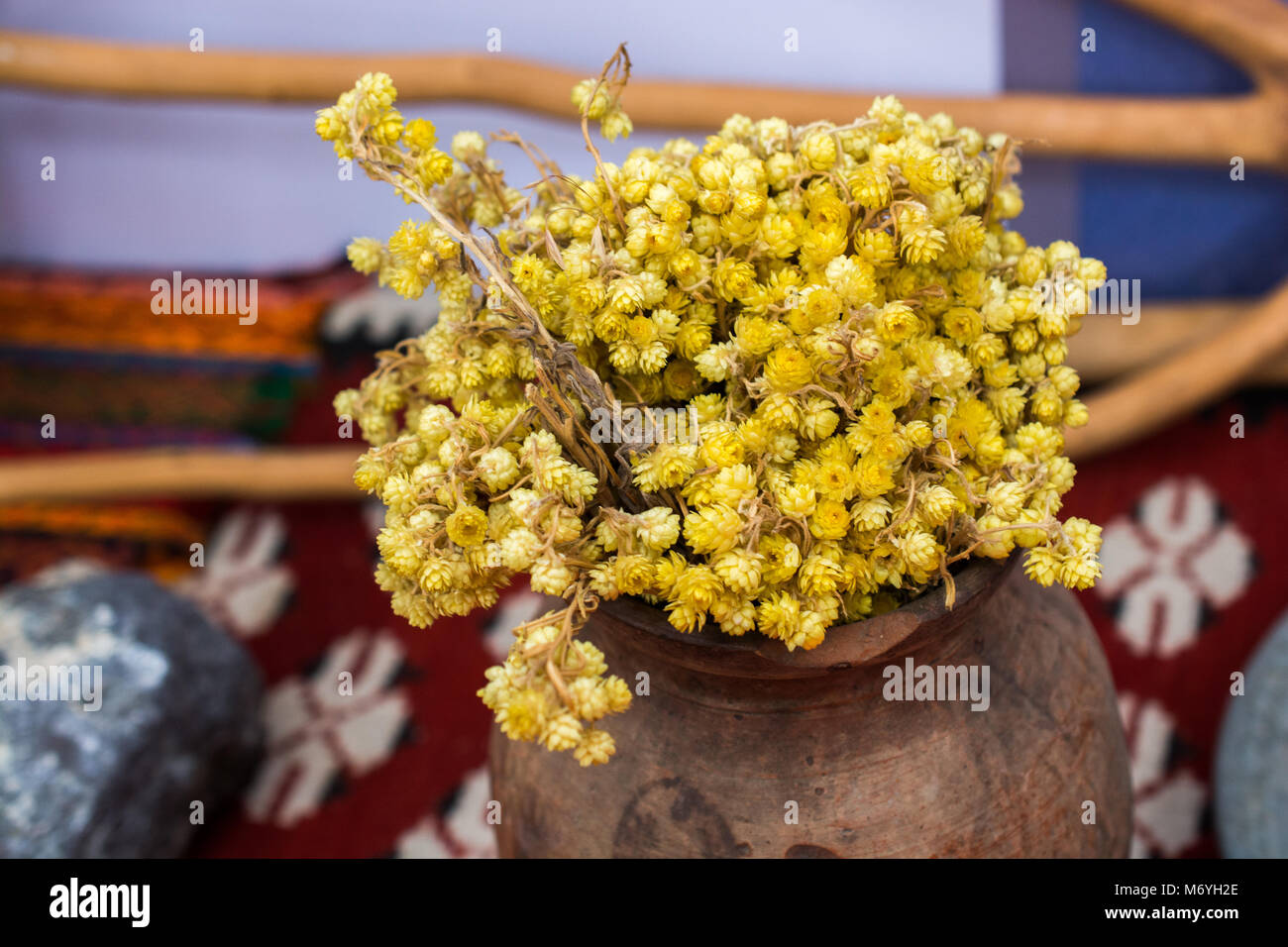 Beautiful colorful natural flowers in dry form Stock Photo - Alamy