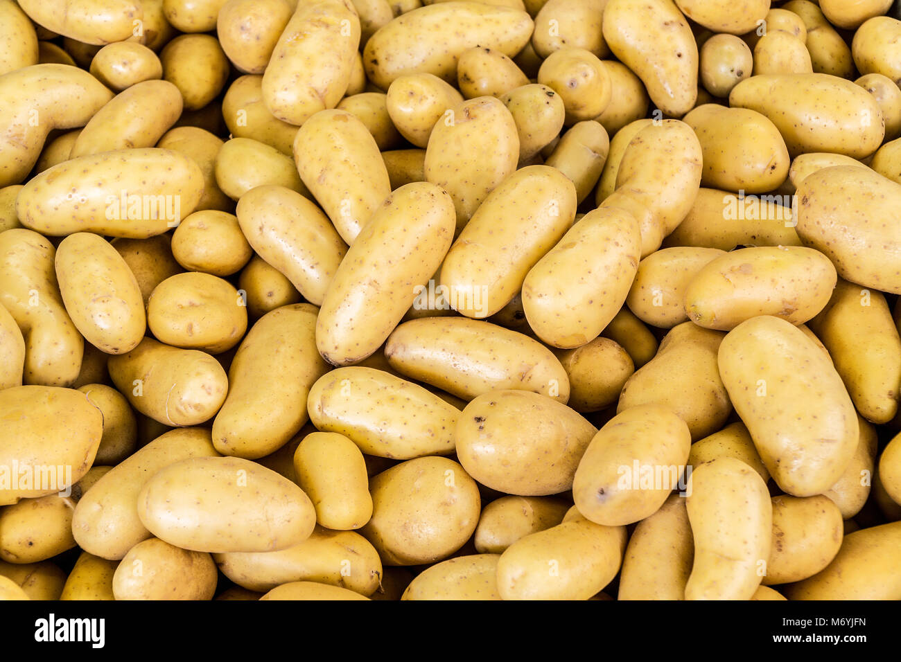 Lot of washed potato tubers. Food background Stock Photo - Alamy