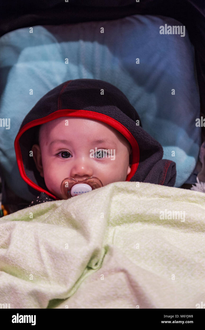 Baby boy in stroller with pacifier wearing hoodie Stock Photo - Alamy