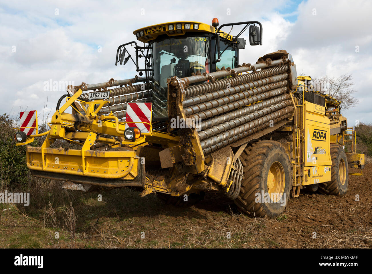 Beet Loader Stock Photos & Beet Loader Stock Images - Alamy