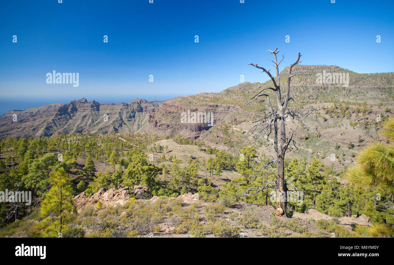 West of Gran Canaria, February 2018, integral Nature Reserve Inagua ...