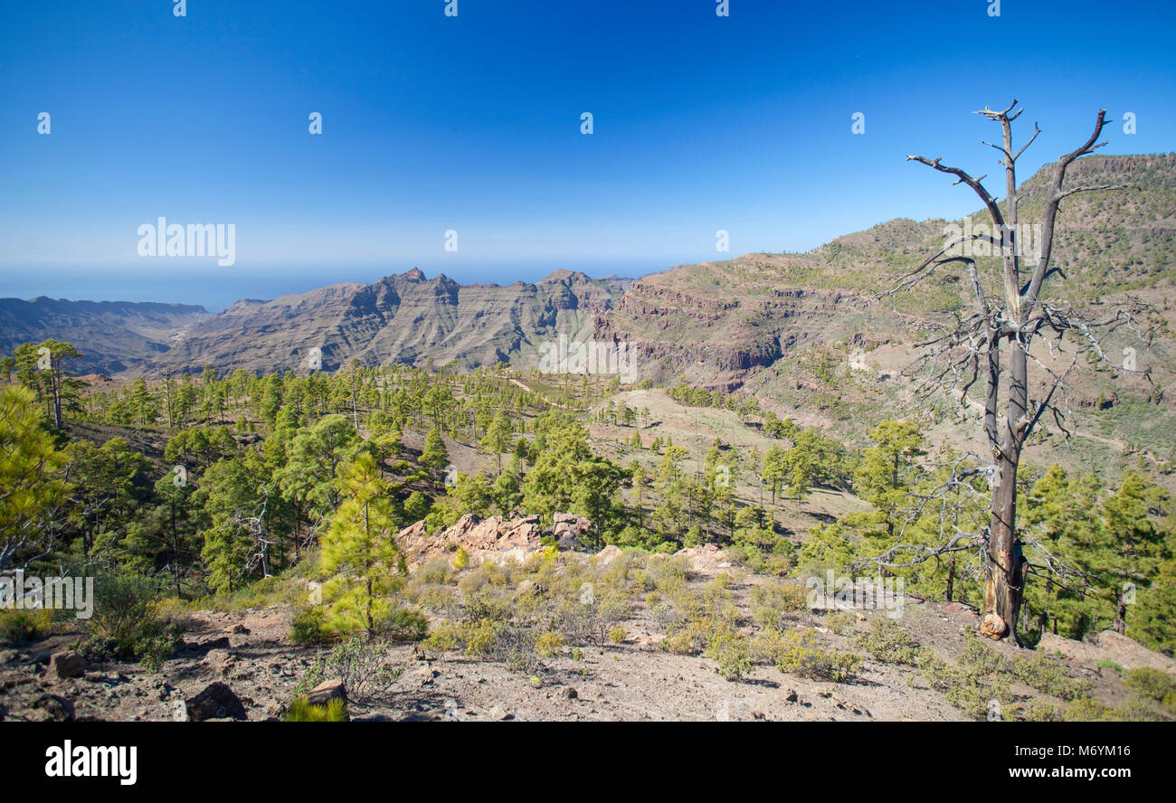 West of Gran Canaria, February 2018, integral Nature Reserve Inagua ...