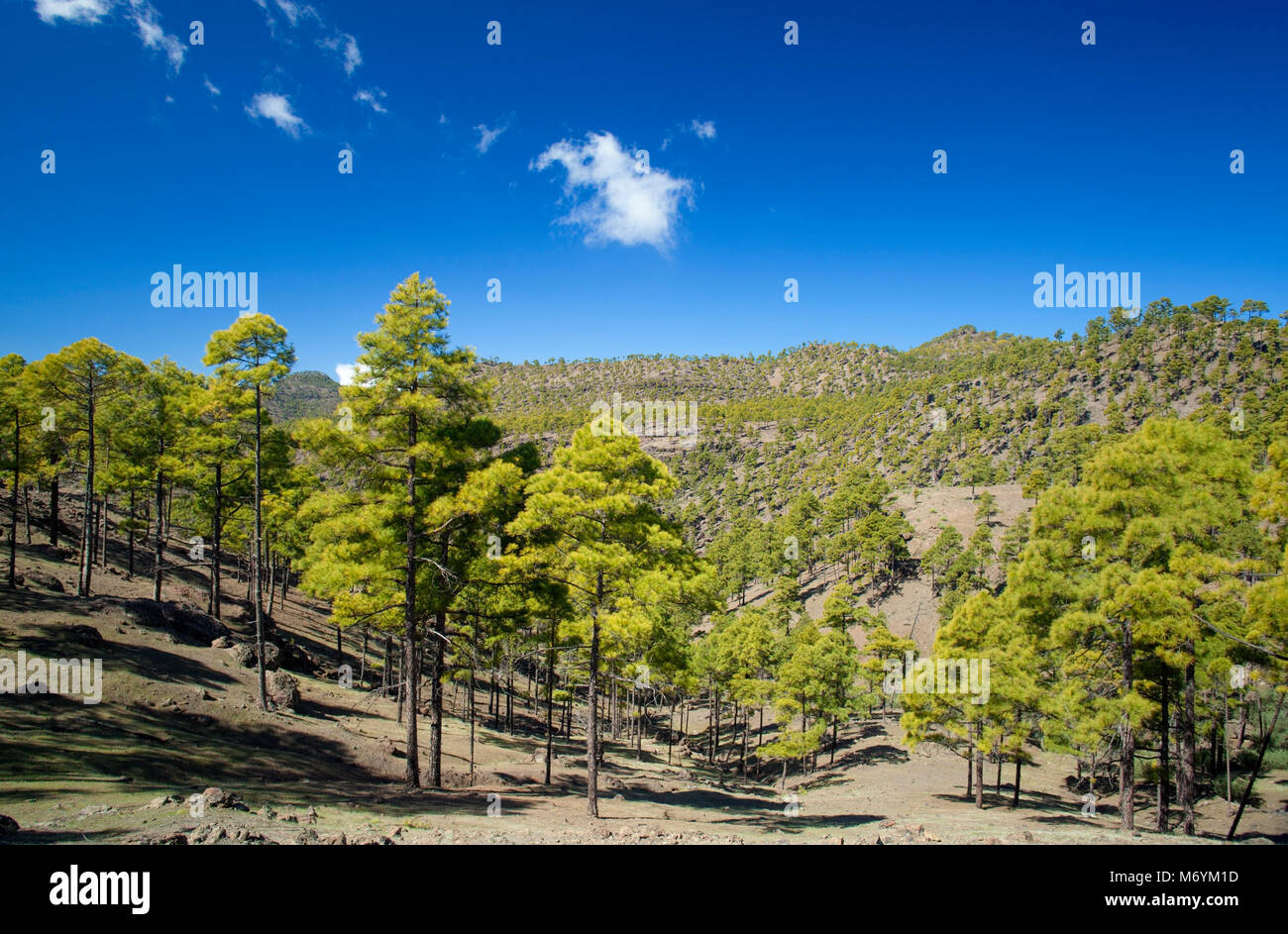 West of Gran Canaria, February 2018, integral Nature Reserve Inagua ...