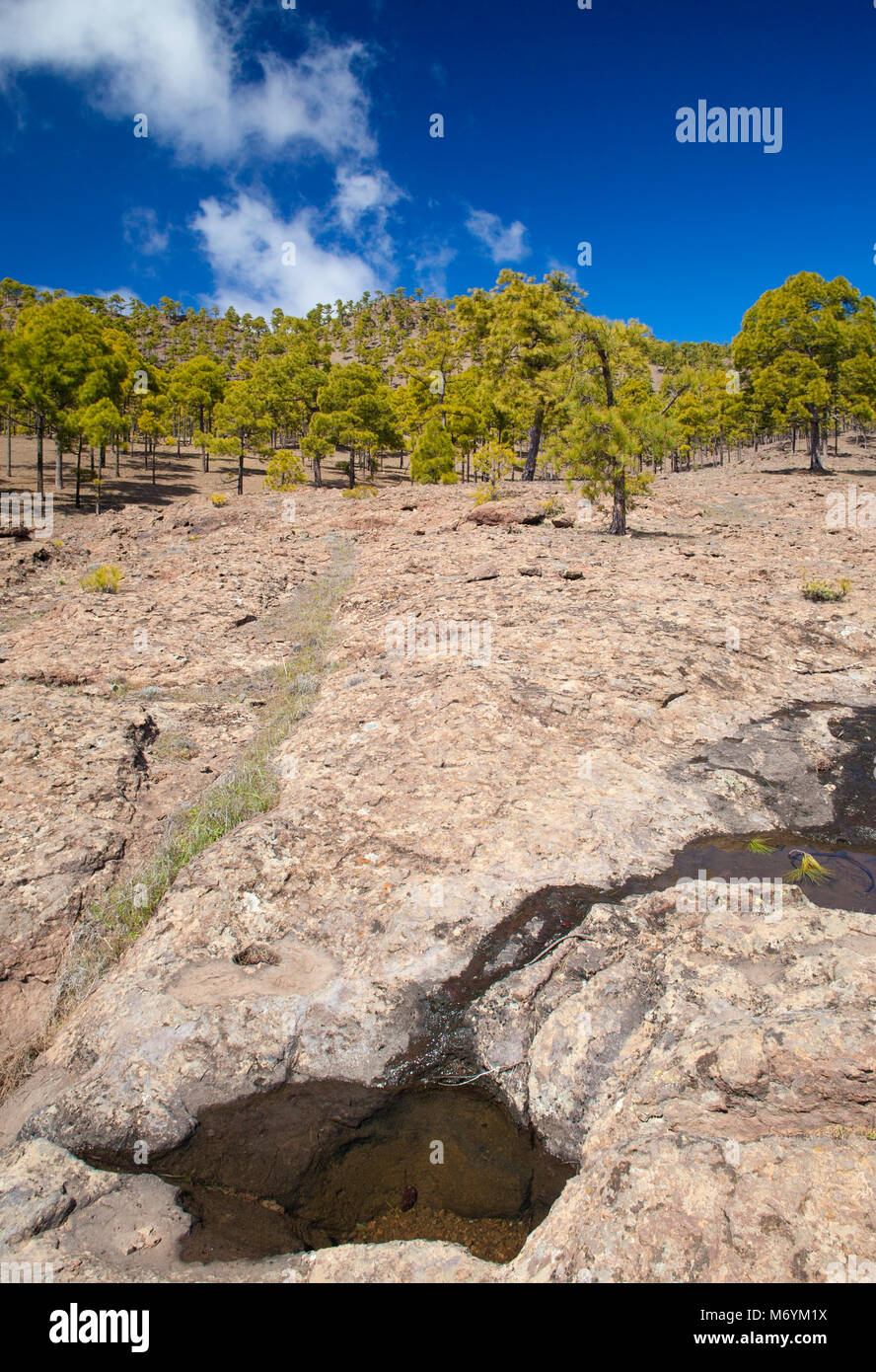 West of Gran Canaria, February 2018, integral Nature Reserve Inagua ...