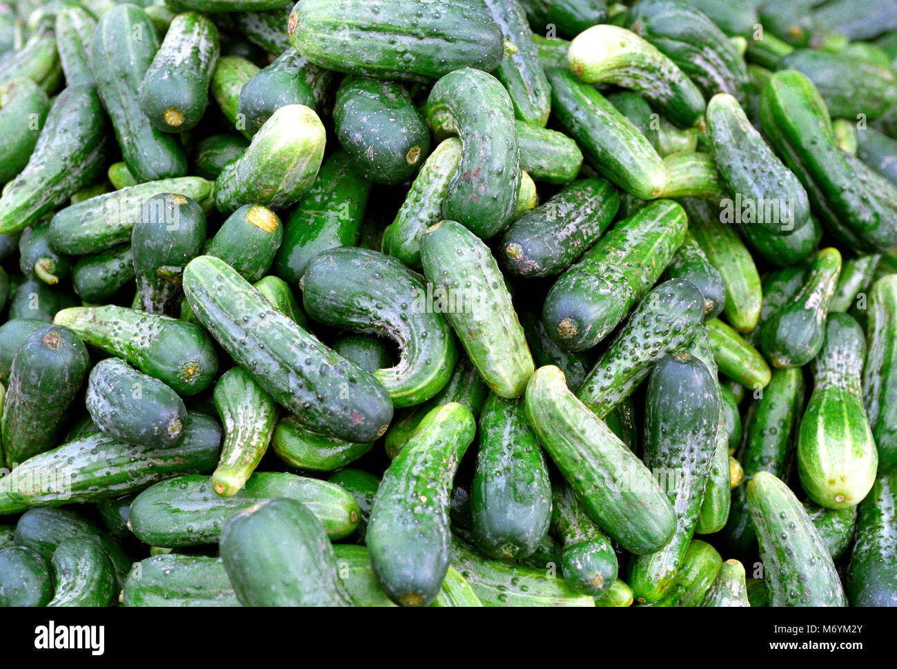 On sale in a market hi-res stock photography and images - Alamy