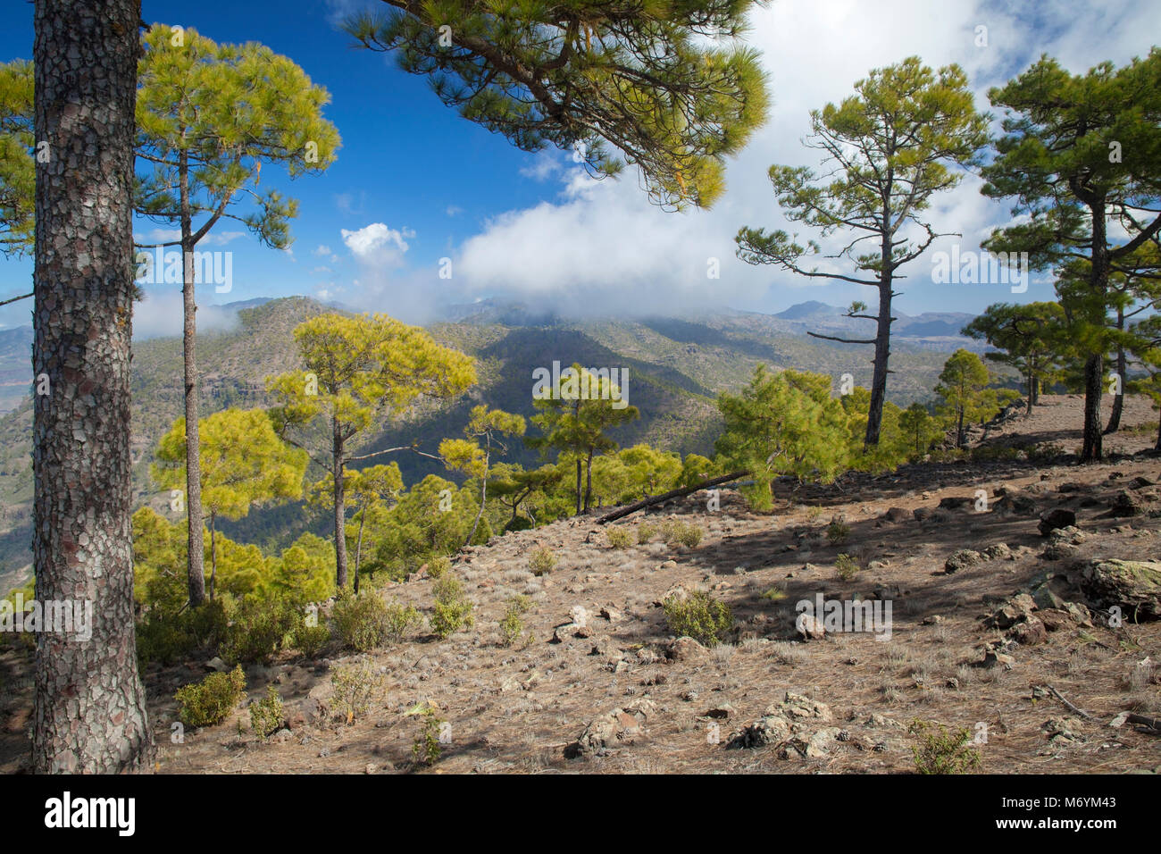 West of Gran Canaria, February 2018, integral Nature Reserve Inagua ...