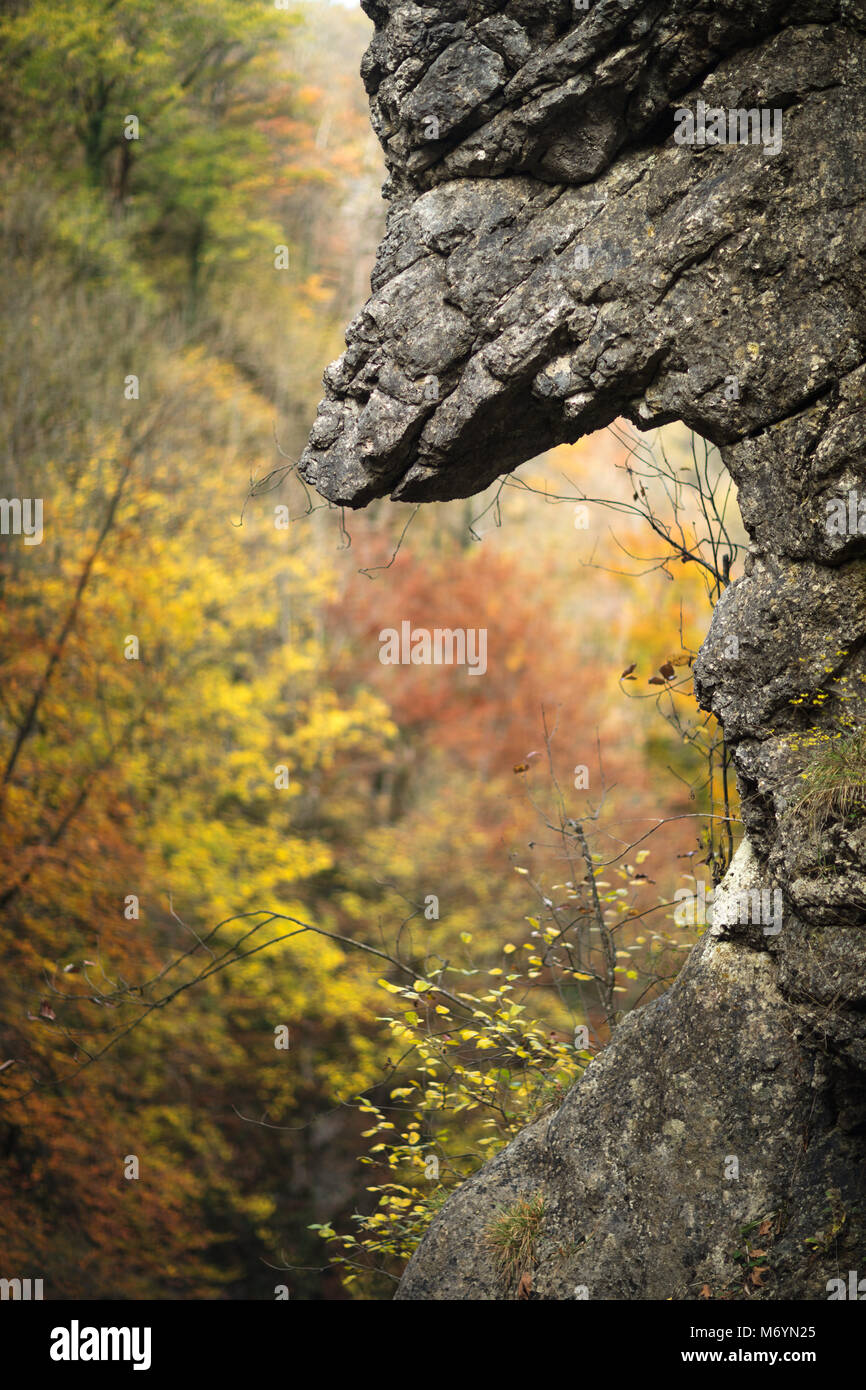 Autumn colours beneath the Pont du Diable by the brook of Château ...