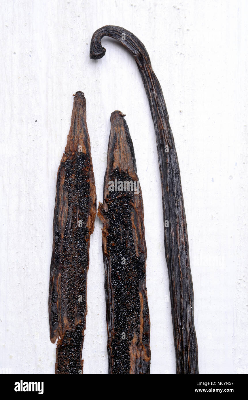 vanilla pods on white wooden background Stock Photo - Alamy