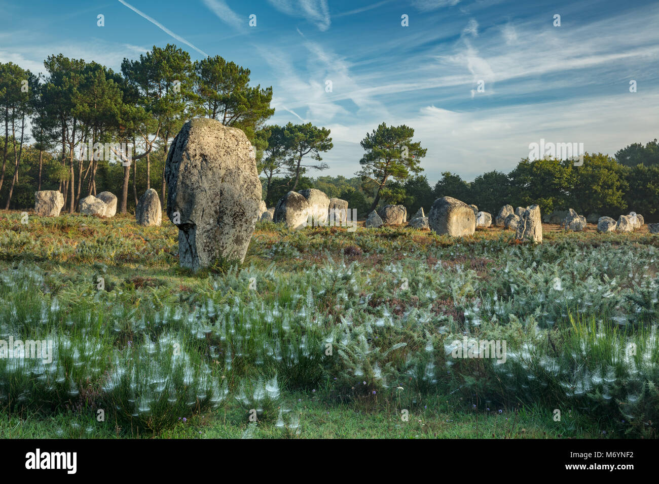 The megalithic menhirs of the Alignements de Kerlescan, Carnac ...