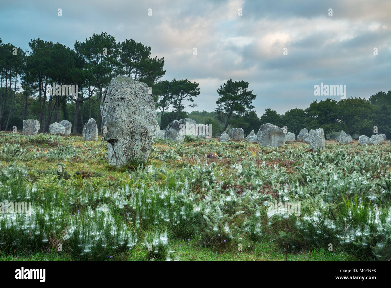 The megalithic menhirs of the Alignements de Kerlescan, Carnac ...