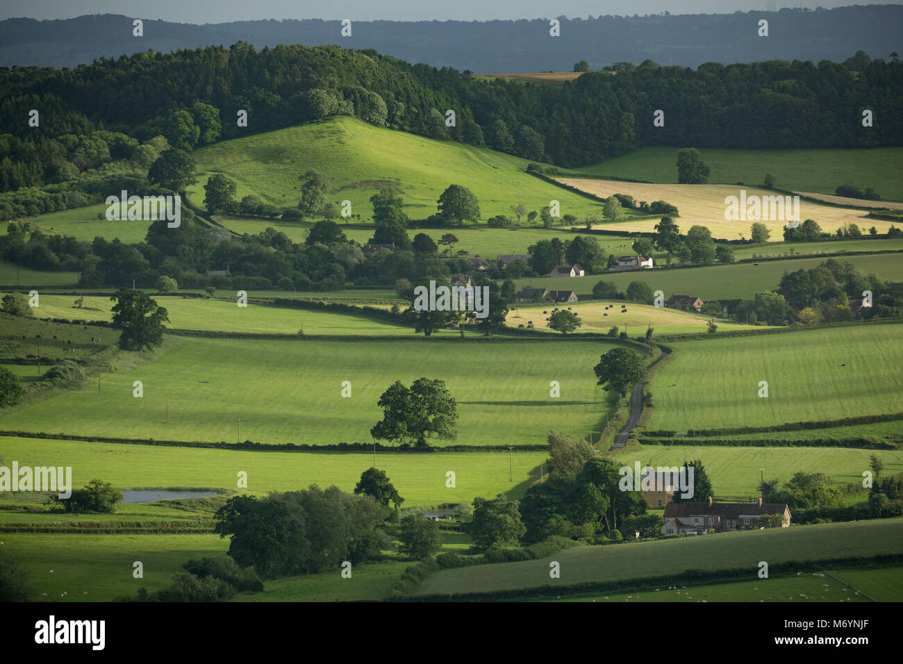Green Fields Village