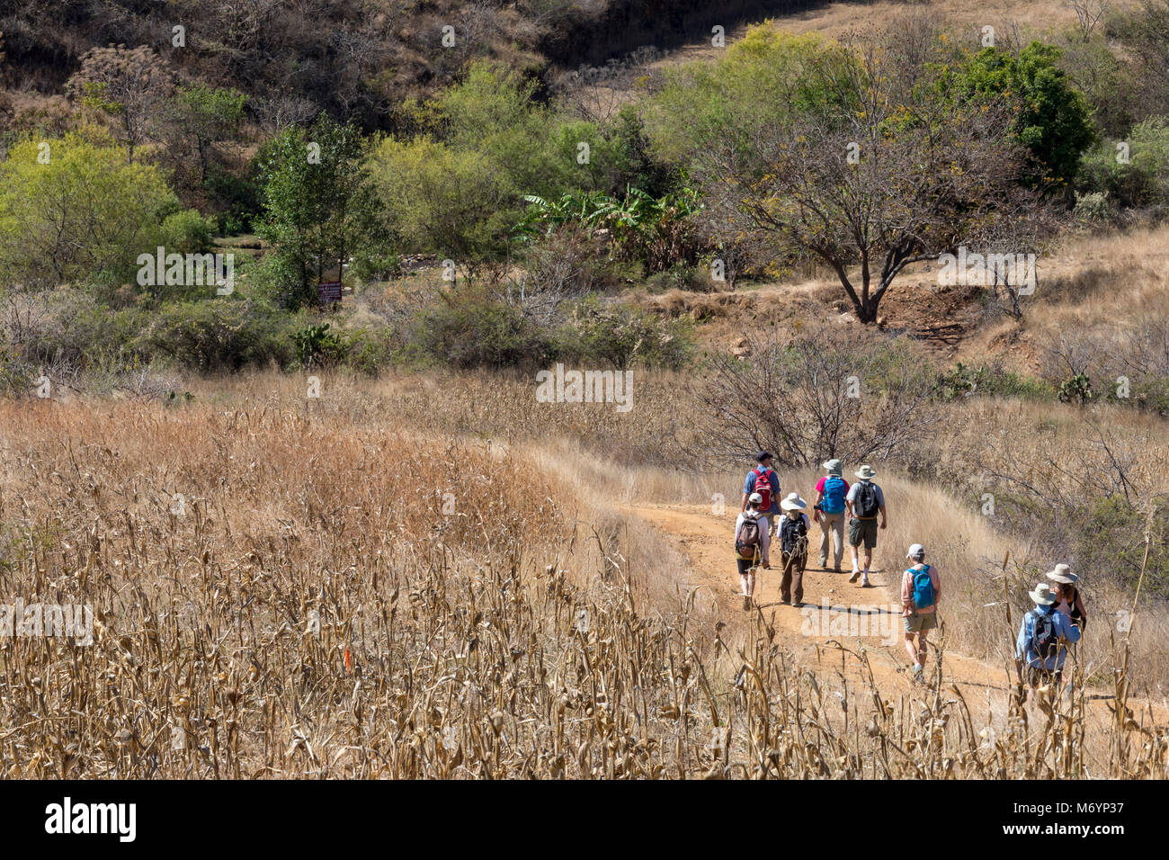 Oaxaca, Mexico - People hiking in the West Etla Valley of rural Oaxaca ...
