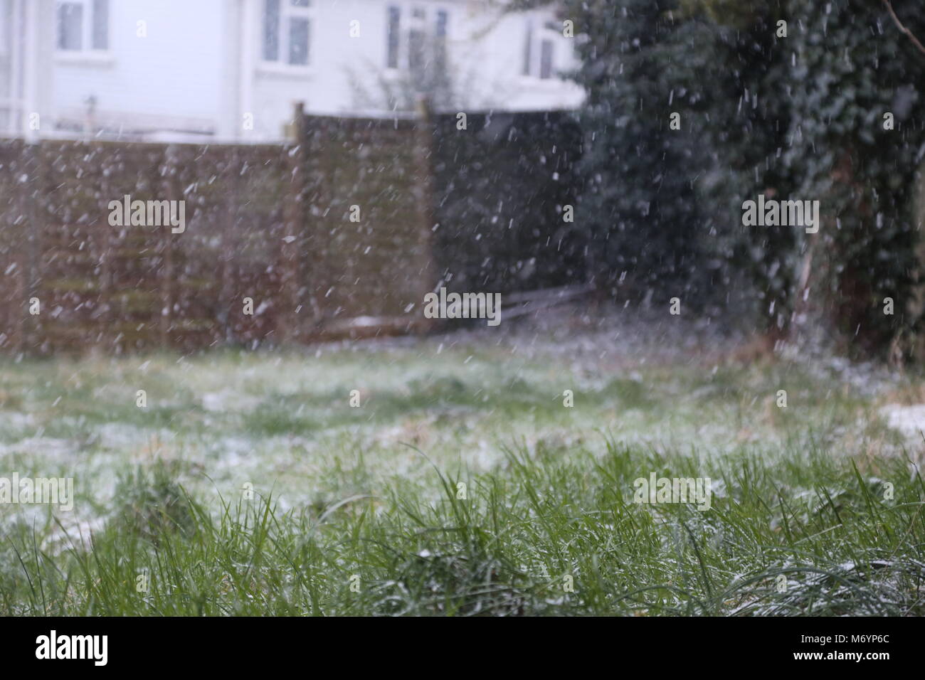 Grass with snowfall hi-res stock photography and images - Alamy