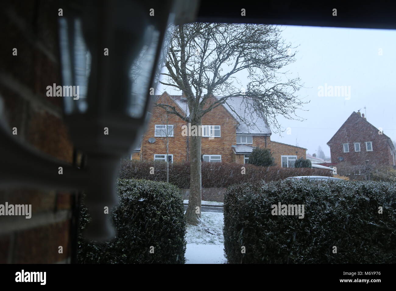 Snowy tree on doorstep Stock Photo - Alamy