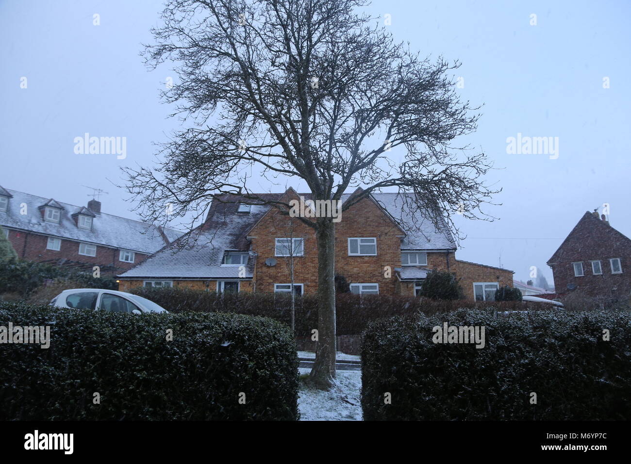Snowy tree on doorstep Stock Photo - Alamy