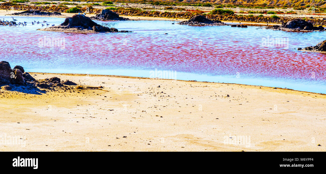 pink lake in spain, unusual phenomenon, mineral influence on water ...