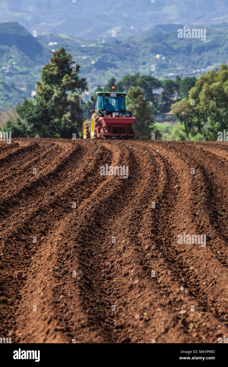 Preparing ground tractor potato hi-res stock photography and images - Alamy