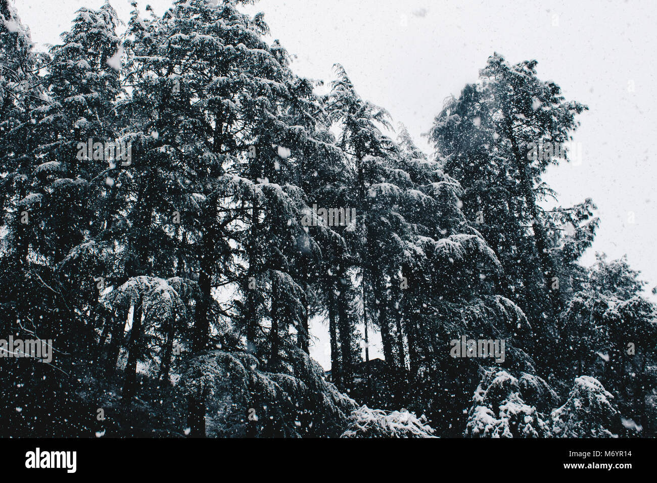 Beautiful scenery wallpapers hi-res stock photography and images - Alamy