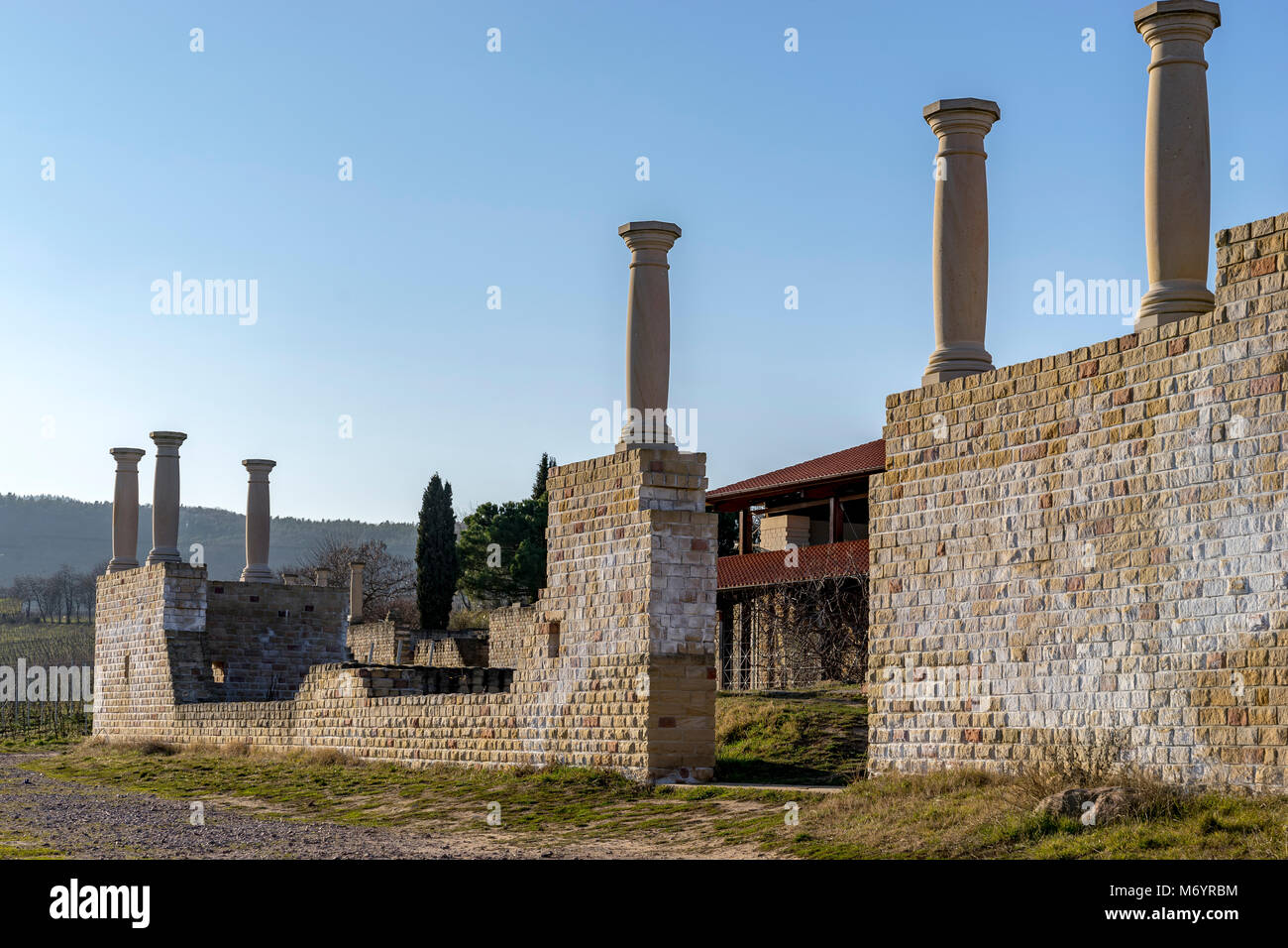 Ancient Roman winery in the south of the Palatinate of Germany ...