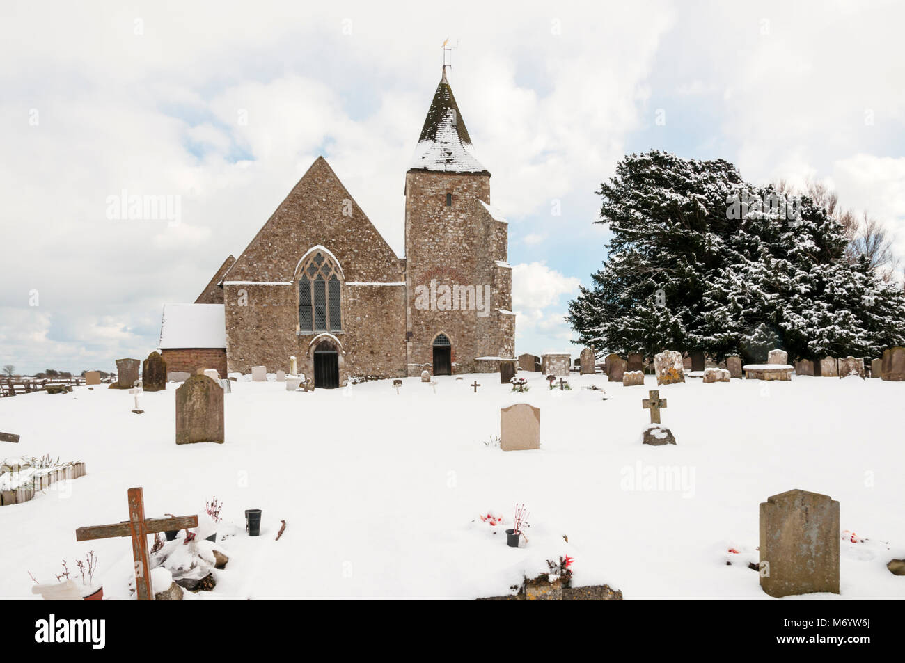 Yew tree and snow hi-res stock photography and images - Alamy