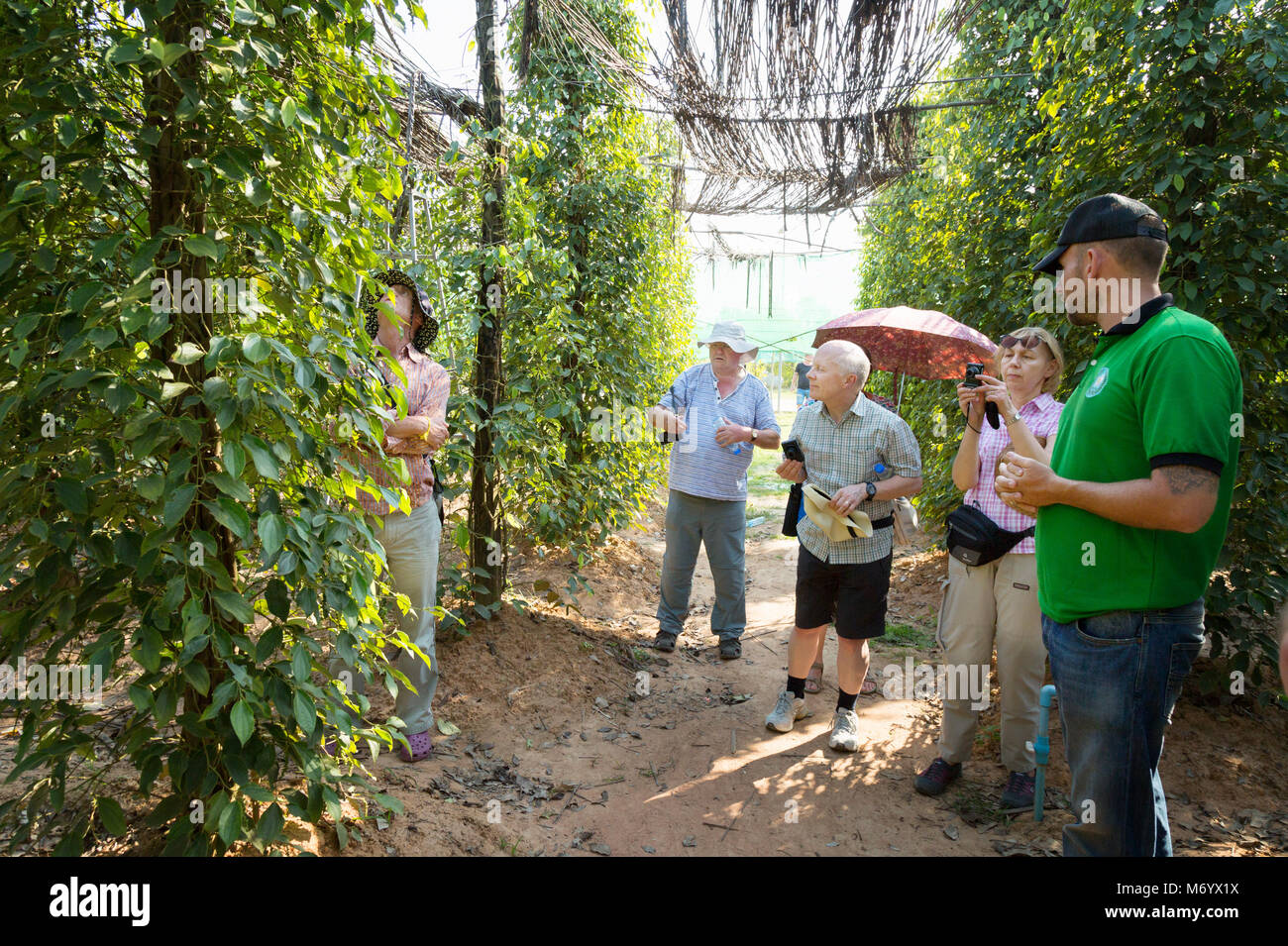 Tourists on a guided tour of a Kampot Pepper farm, Kampot, Cambodia ...