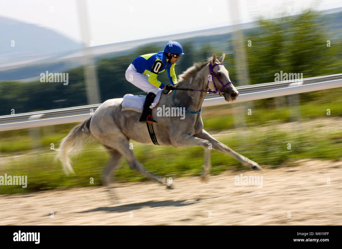Action shot of jockeys in horse race,Pyatigorsk Stock Photo - Alamy