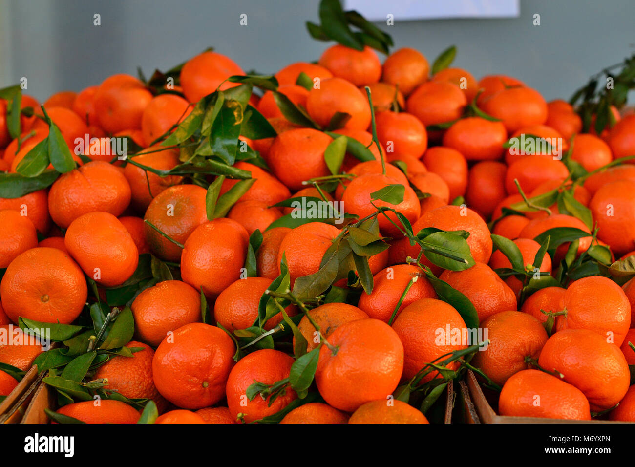 Tangerines for sale Stock Photo - Alamy