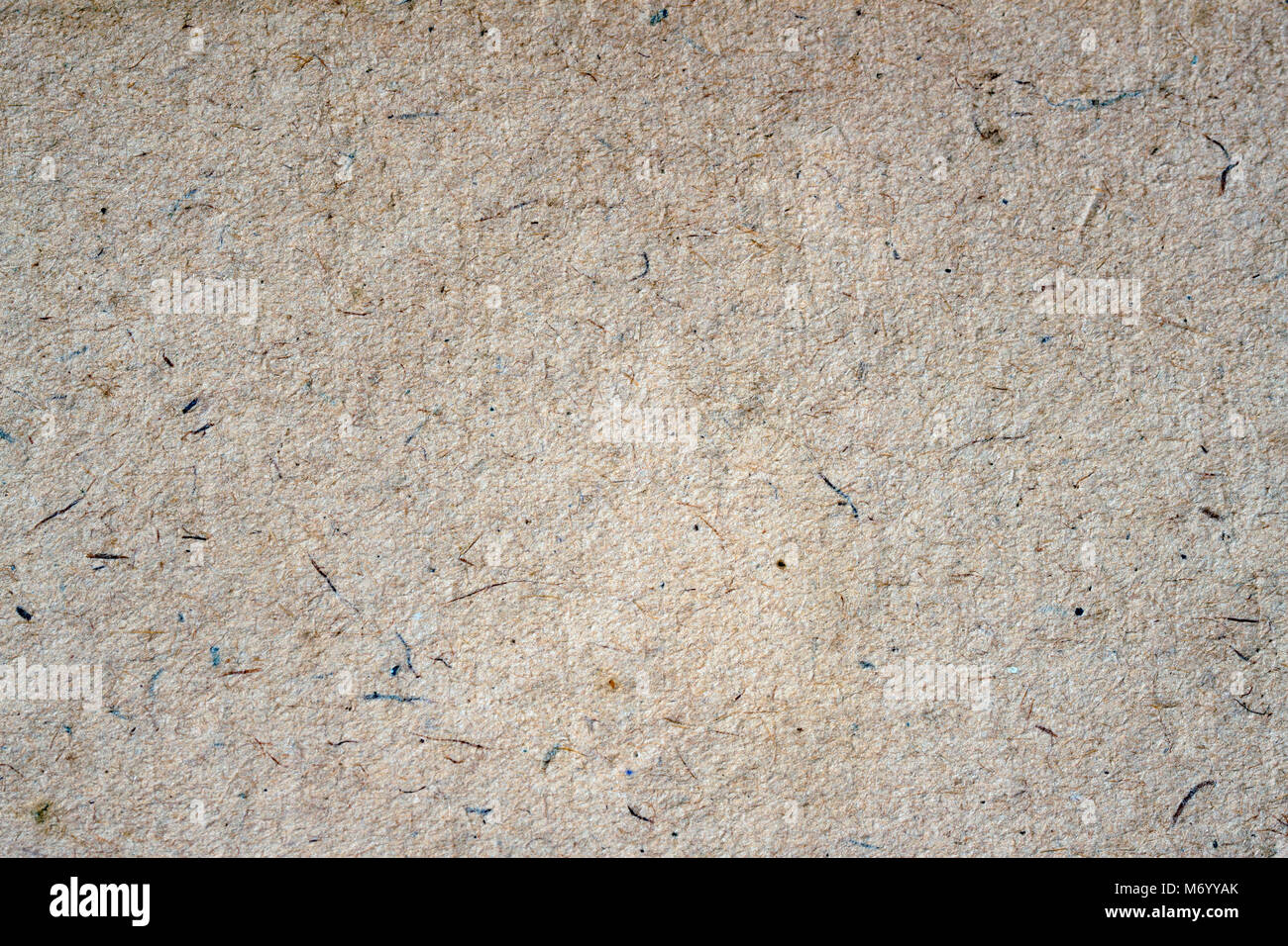 Organic Paper Texture